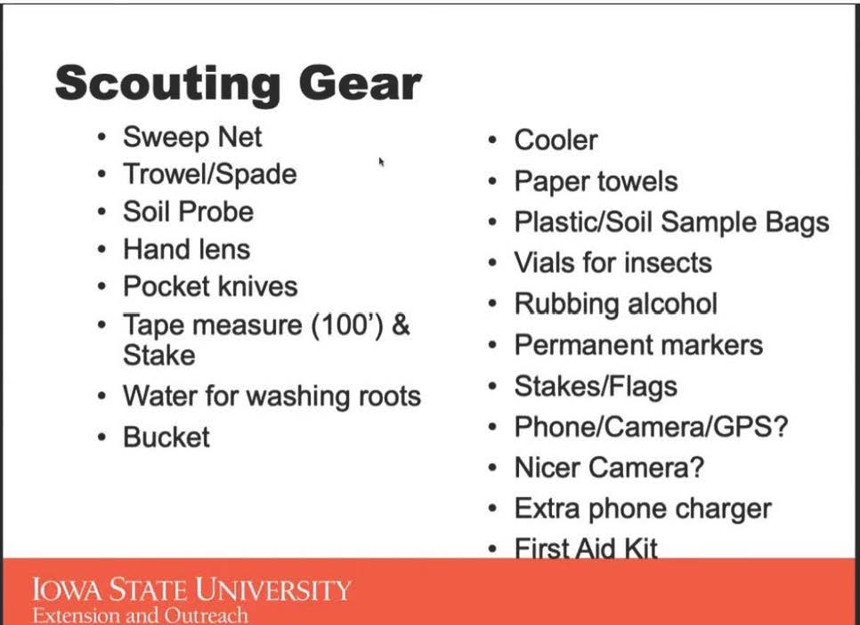 10 Easy Ways to Take Your Crop-Scouting Practices to the Next Level | AgWeb